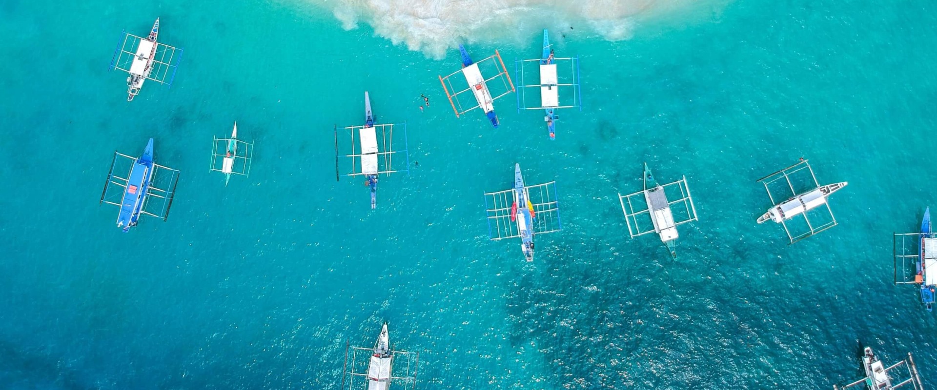 The Best Photo Filter Apps for Photographers